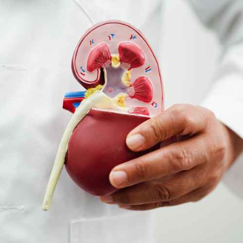 Exámen BUN y Creatinina - Quiero mi Orden | Orden médica Online